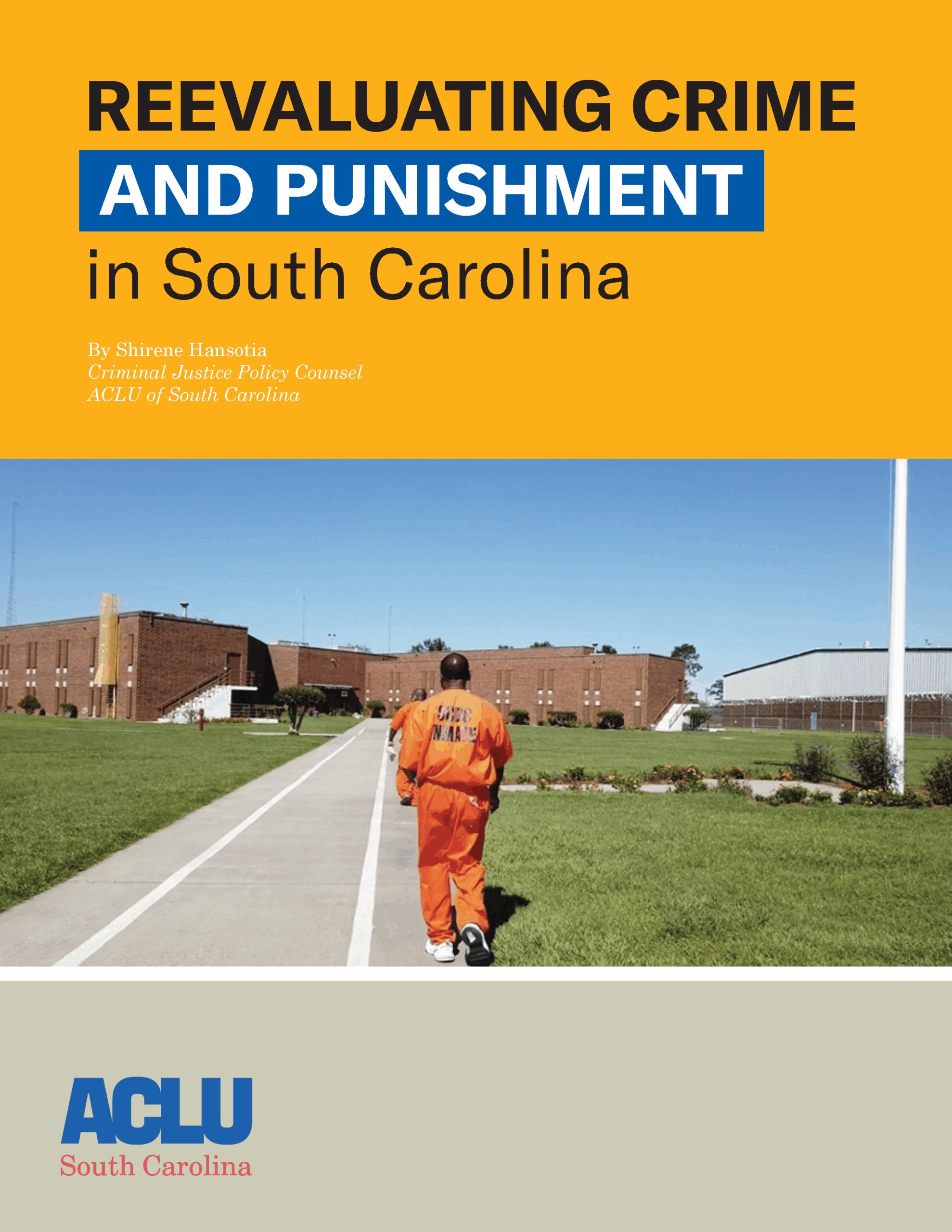 New ACLU of South Carolina Report Documents the Human and Fiscal Costs ...